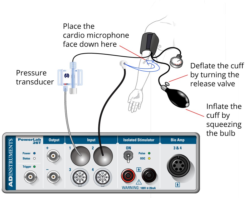 Settings for Sampling Panels in Lt - Blood Pressure and Cardio Microphone | ADInstruments
